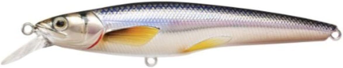 Amazon.com : LIVE TARGET Rainbow Smelt Jerkbait, Shallow, 1-Piece ...