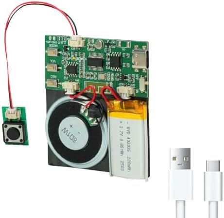 Amazon.com: Sound Module, Support Bluetooth & MIC Recording Audio, 8MB ...