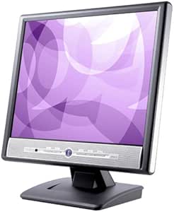 Amazon.com: BenQ FP767 17" LCD Display (Silver Black) : Electronics