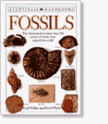 Fossils (DK Handbooks): Walker, Cyril Alexander, Ward, David J.: 9781564580740: Amazon.com: Books