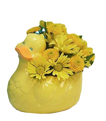 Napco Ceramic Yellow Duck Planter : Amazon.in: Garden & Outdoors