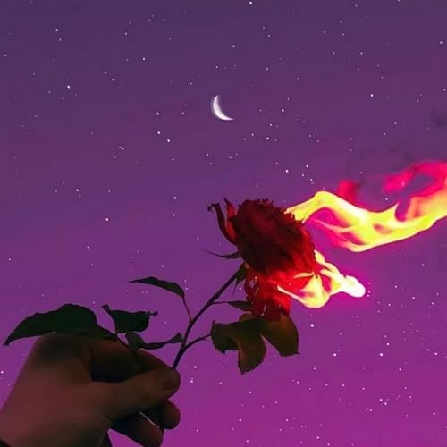 Amazon MusicでChill Aroundのlush shadowsを再生する