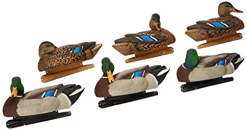 Best Duck Decoy Spreads – 2021 Guide