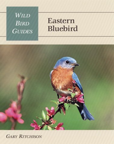 Eastern Bluebird (Wild Bird Guides): Gary Ritchison: 9780811727457 ...