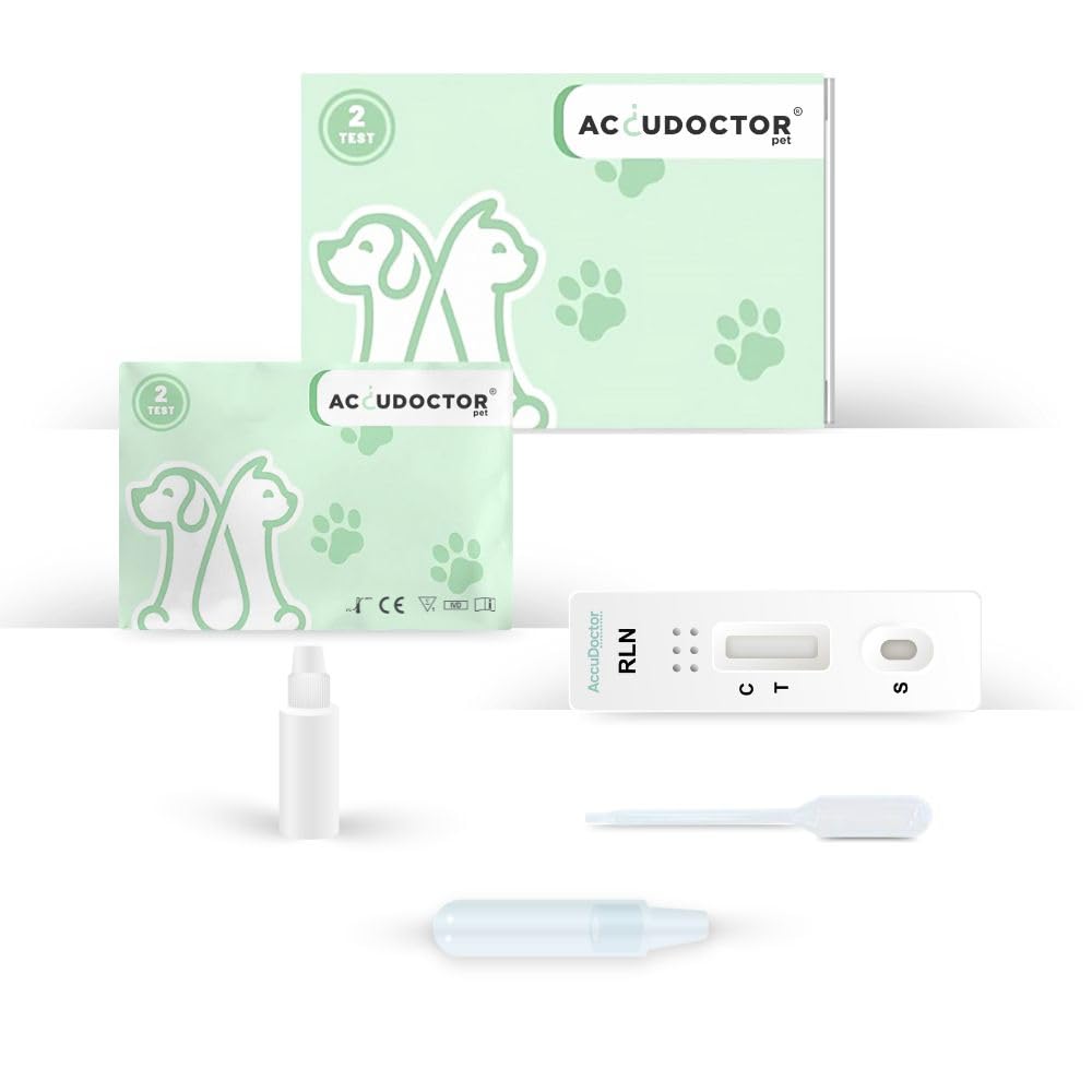 2 Accudoctor Pregnancy Test RLN Relaxin Test for Dogs. for Breeders and ...