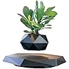 Amazon.com : INOVAXION Levitating Floating Plant& Flower Pot, Magnetic ...
