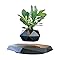 Amazon.com : INOVAXION Levitating Floating Plant& Flower Pot, Magnetic ...