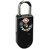 Amazon.com | Pacsafe Prosafe 750 TSA Accepted Key-Card Lock-Black-1pc ...