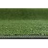 iCustomRug Indoor/Outdoor Turf Carpet & Rugs, Sythentic Grass in Lawn ...
