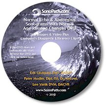 Normal Echo & Abdominal Sonograms With Normal Age-Related Changes ...