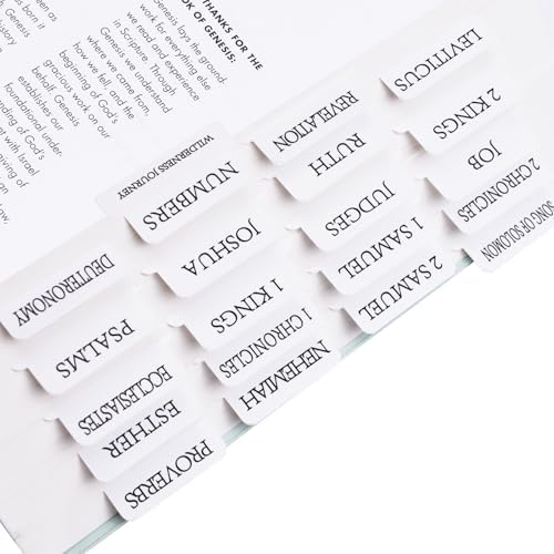 Amazon.com : Bible Tabs, 180 Removable Adhesive Tabs, Laminated Bible ...