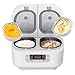 Professional Electric Rice Cooker, Home Double Inner Integrated Multi ...