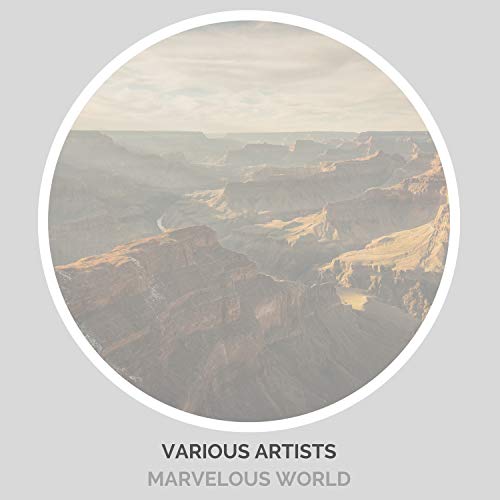 Amazon Music - VARIOUS ARTISTSのMarvelous World - Amazon.co.jp