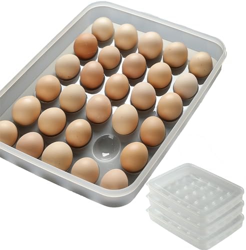 Amazon.com: WHALEZZ Deviled Egg Containers with Lid, 30 Eggs Plastic ...