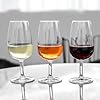 Amazon.com | Final Touch ISO INAO Wine Tasting Glasses Set of 6 - Lead ...