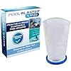 Amazon.com : POOL BLASTER Genuine Replacement Xtreme Multilayer Filter ...