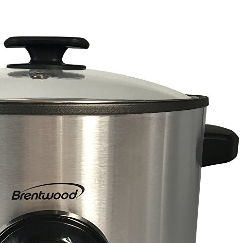 The 20 Best Multi-Cooker Deep Fryers of 2025 [Verified] - Cherry Picks