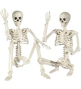 Amazon.com : SUNREEK 4Pcs Halloween Full Size Skeleton Set, Life Size ...