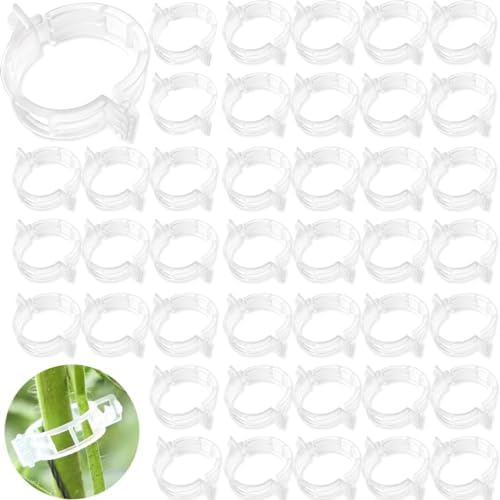 Amazon.com: GXXMEI 302PCS Plastic Plant Support Clips for Tomato Vine ...