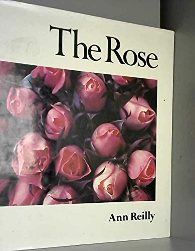 The Rose: Reilly, Ann: 9780517688304: Amazon.com: Books