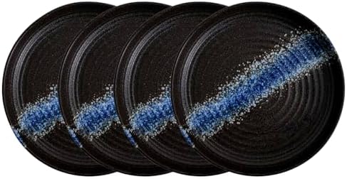 Amazon.com | DealbyBox 10Inches Round Ceramic Flat Dinner Plates Set of ...