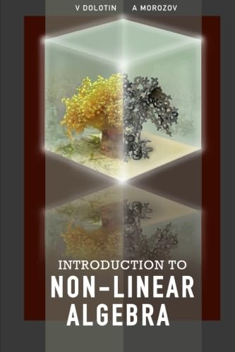 Introduction To Non-Linear Algebra: Dolotin, V, Morozov, A: Amazon.com ...