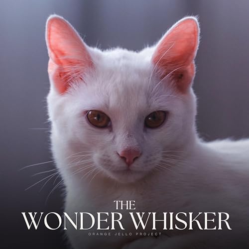 Play The Wonder Whisker by Music for Relaxing Cats on Amazon Music