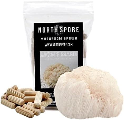 Amazon.com : 100 Lion's Mane Mushroom Spawn Plugs/Dowels to Inoculate ...