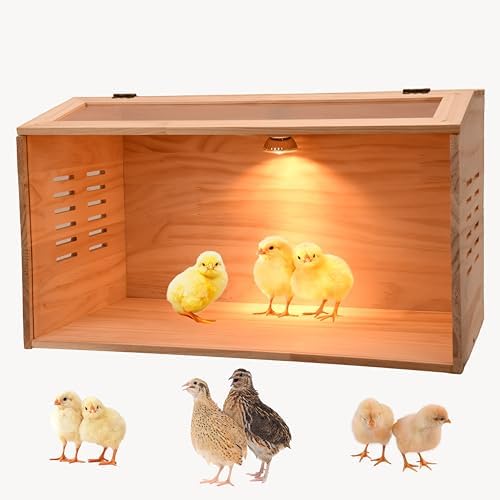 Amazon.com: Brooder Box for Chicks,5-10 Chicken Brooder Heater, Chicken ...