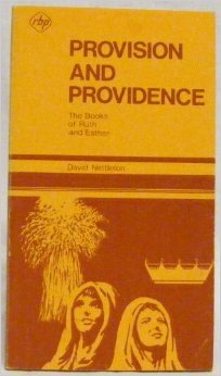 Provision and Providence: David Nettleton: Amazon.com: Books