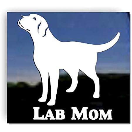 Amazon.com: This Vehicle Has Been Lab Tested Vinyl Window Decal ...