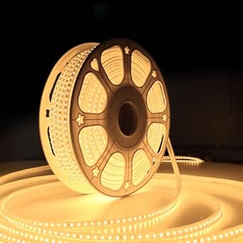 Buy Forus LED Rope Light 10 Meter 1 Year Warranty, Outdoor Waterproof ...