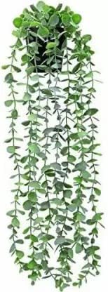 Buy Well Art Gallery Set of 1 Greenery Artificial Without Pots Home ...