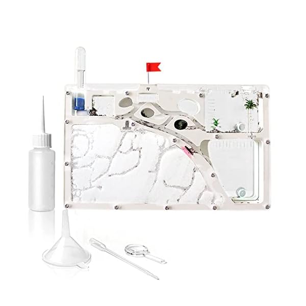 Ant Farming Castle, Habitat Science Learning Kit, Farms for Live Ants ...