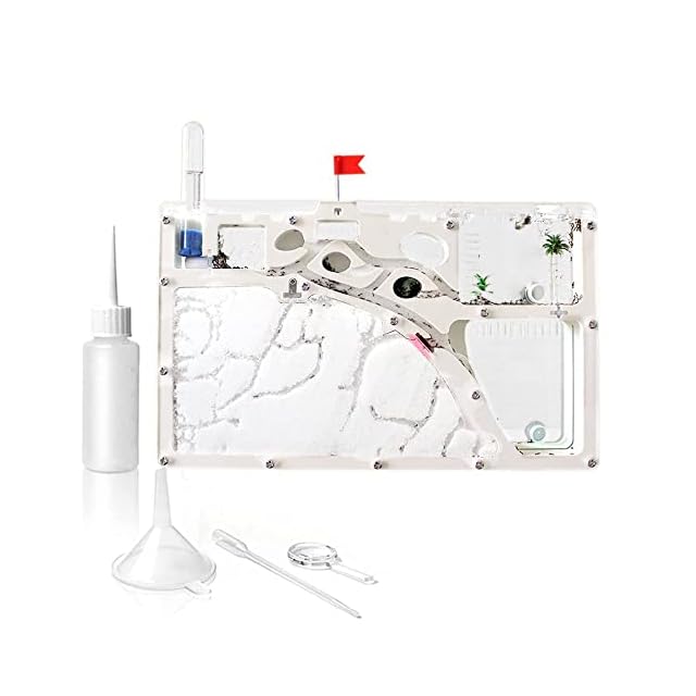 Ant Farming Castle, Habitat Science Learning Kit, Farms for Live Ants ...