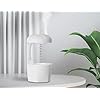 Amazon.com: RooXchowla Humidifiers for Bedroom, Anti Gravity Humidifier ...