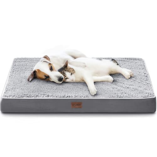 Colchón para perros – Los 15 mejores productos comparados - Wild Explicado