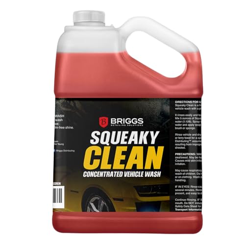 Squeaky Clean Car Wash – The 15 best products compared - Your Motor Guide