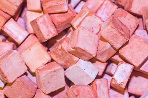 Forest Aquatics 50 x Mixed Calcium Mineral Block Food for Shrimp Snails ...