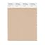 PANTONE Smart 14-1227X Color Swatch Card, Peach - Wall Decor Stickers ...