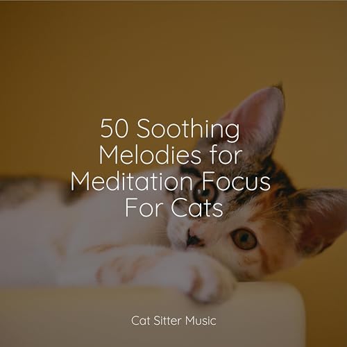 Play 50 Soothing Melodies for Meditation Focus For Cats by Music for ...