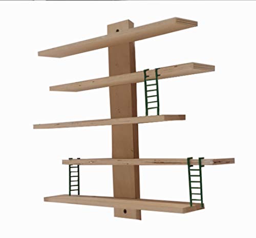 Lustigt Regal – Die 15 besten Produkte im Vergleich - kita.de Ratgeber