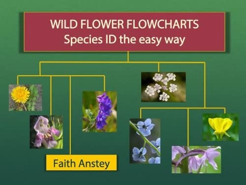 Wild Flower Flowcharts: Species ID the easy way: Amazon.co.uk: Anstey ...