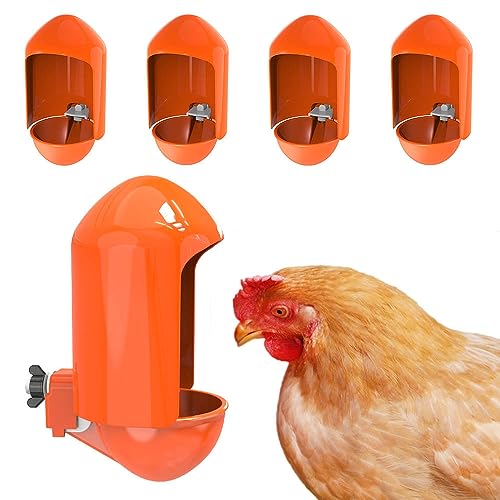 10 Best Automatic Waterers for Happy and Healthy Chickens - Furry Folly