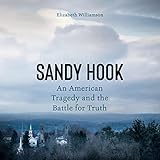 Republic of Lies Audiobook by Anna Merlan