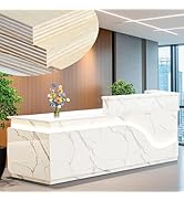 Amazon.com: Solid Wood Front Desk, Black Reception Desk with Counter ...