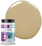 Amazon.com: Beyond Paint All-in-One Refinishing Paint, No Sanding ...