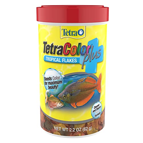 Best Food For Small Tetras at Koby Rawling blog