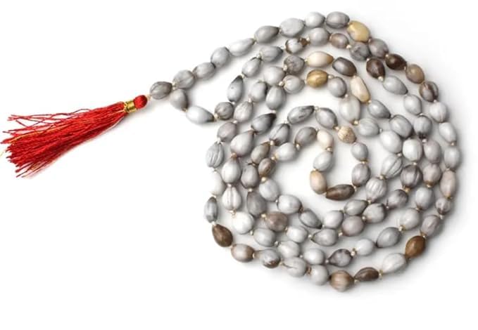 Natural Baijanti Mala बैजंती माला White Vaijanti Mala Vaijayanthi Seed ...