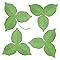 Amazon.com : Pepexia 600 Sheets Cute Tree Leaf Sticky Notes/Paper Memo ...